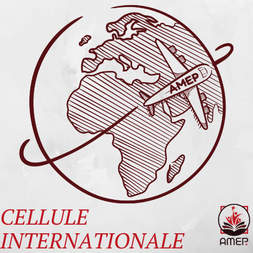 International - Amep Martinique