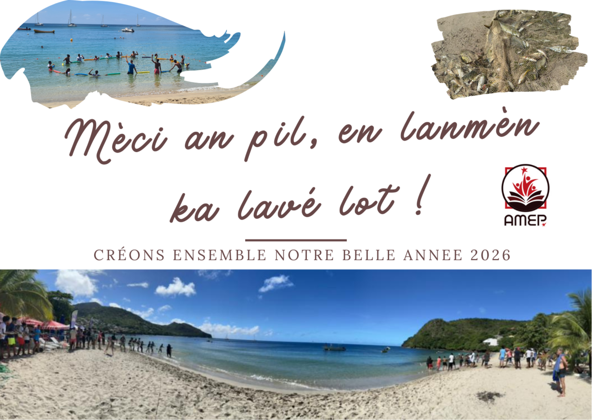 Accueil - Amep Martinique